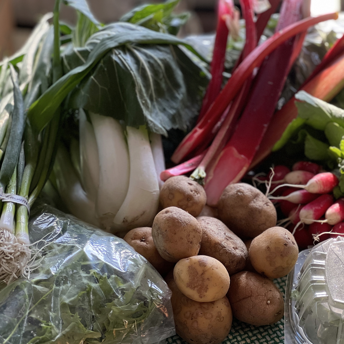 CSA 2023 week 2: rhubarb - Get the Good Stuff