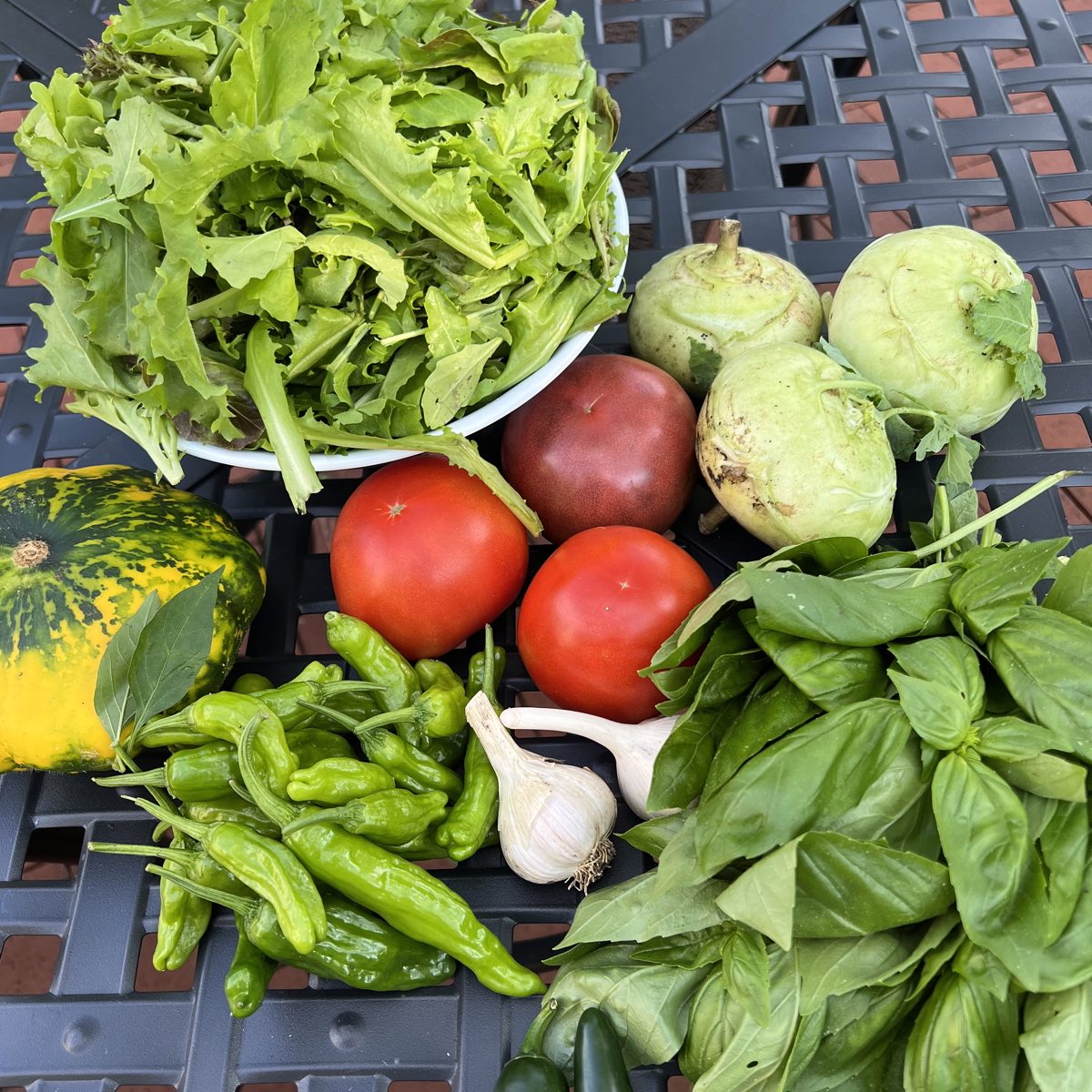 CSA 2023 week 17 and earlier: summer! - Get the Good Stuff